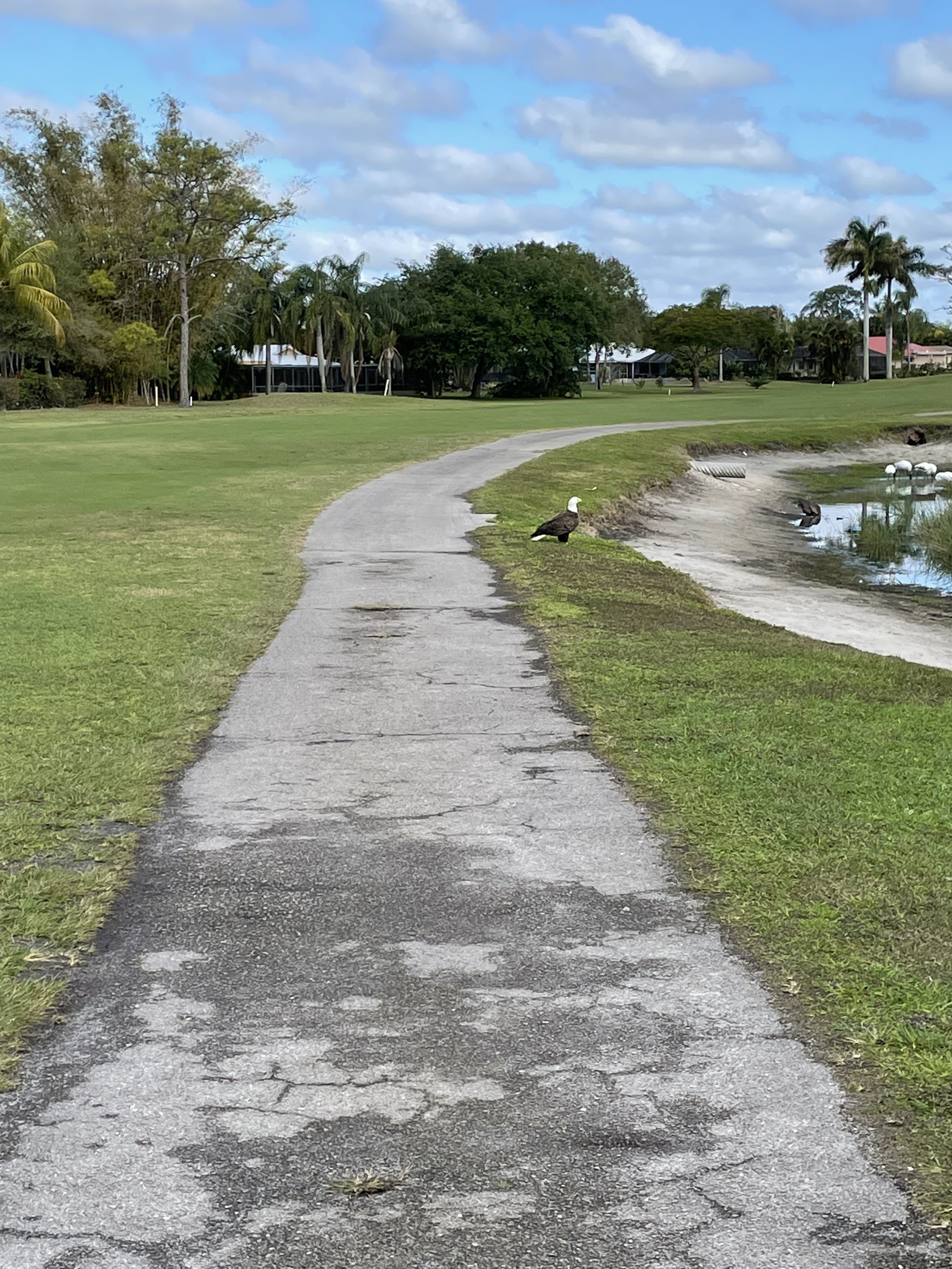 Gallery - The Shores of North River Golf Club